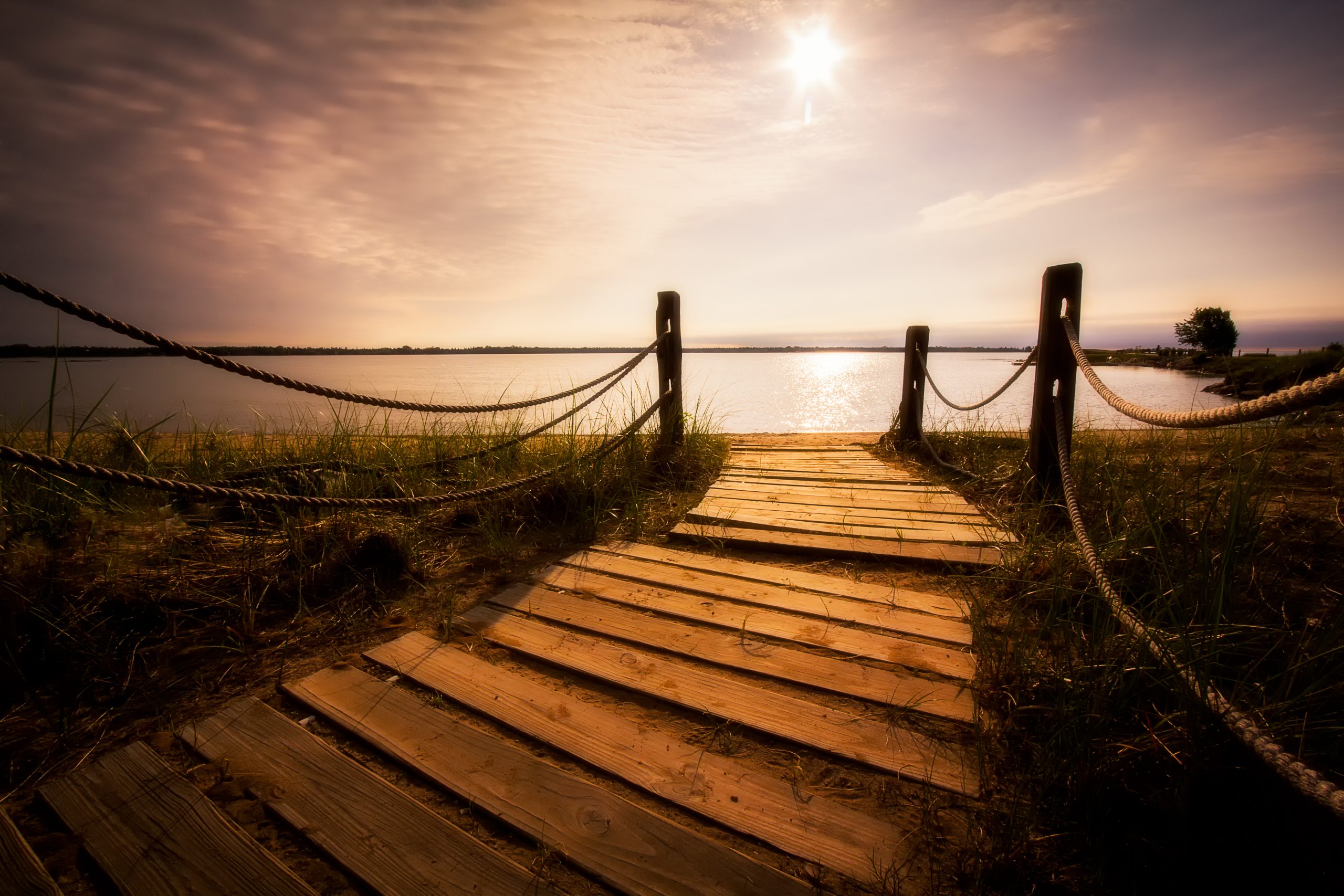 Joy in the Third Period - Gordon Parry - Author